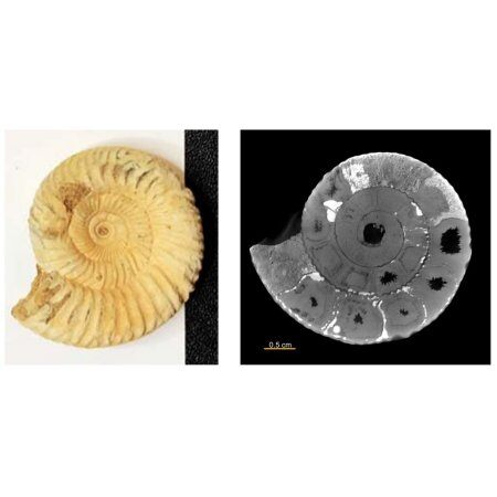 Non-destructive 3D Imaging using X-ray CT