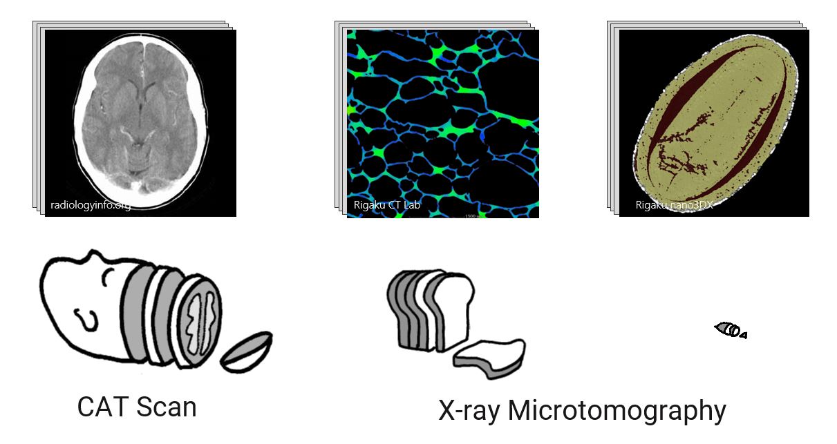 X-ray Computed Tomography: A Brief Introduction