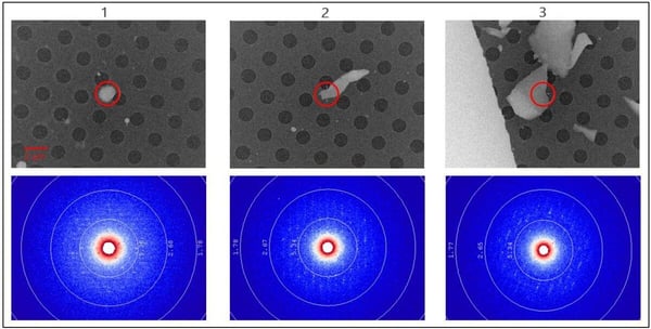 Application note PX031 - Method: MicroED/3D ED on Proteins Using the ...