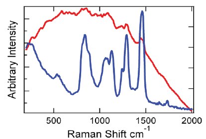 RAD008 - Aseptic identification of polysorbates