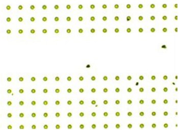 Defect sizing and identification using 3D and XRF review