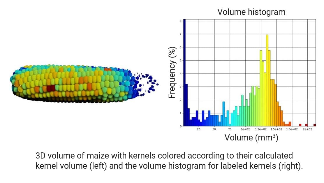How to Refine CT Image Segmentation