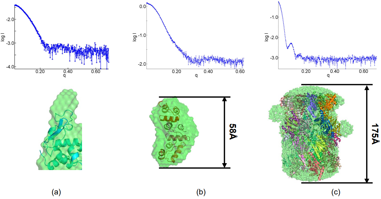 B-SCX2004 - BioSAXS を用いた X 線小角散乱法による タンパク質の溶液構造解析例