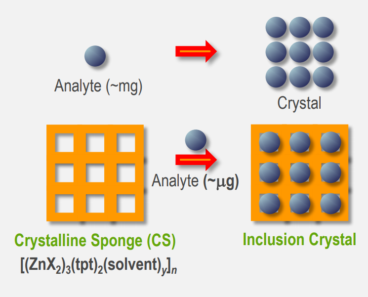 Crystalline Sponge Method on XtaLAB Synergy Systems