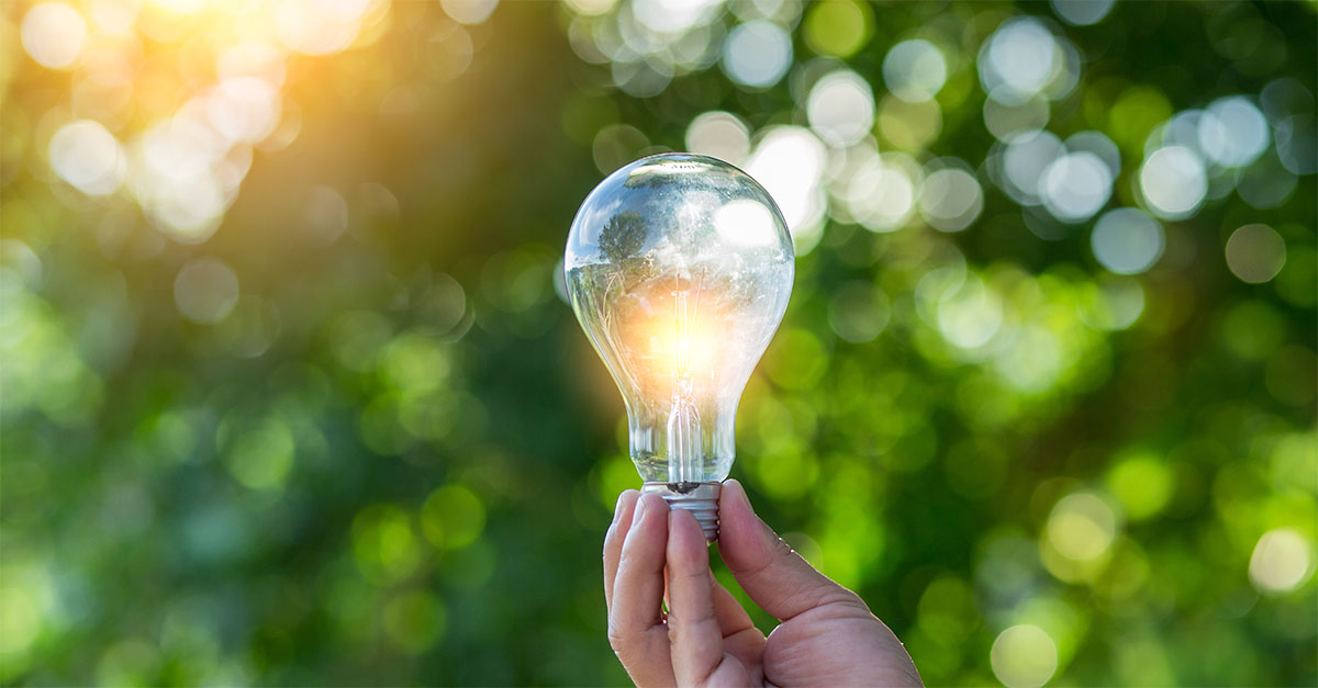 Environment & Energy