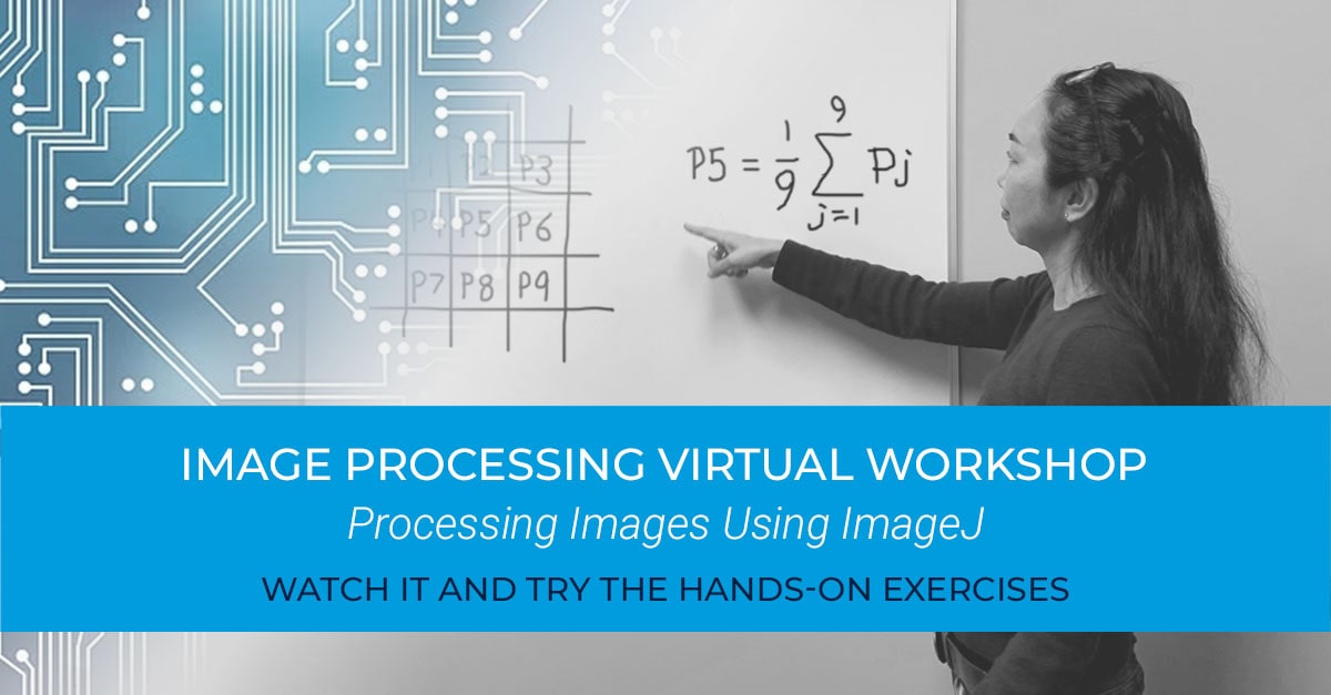 Image Processing Virtual Workshop Series